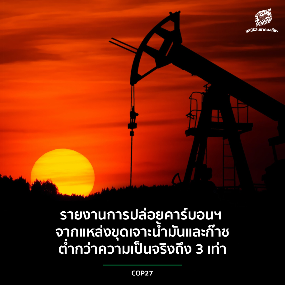 SHORTCUT-COP27-1 - มูลนิธิสืบนาคะเสถียร