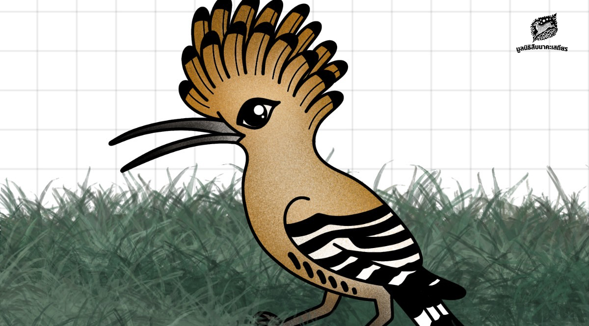 นกกะรางหัวขวาน ที่ดูเหมือนว่ากำลังสวมหมวกของชนพื้นเมืองอินเดียนแดงอยู่ ...